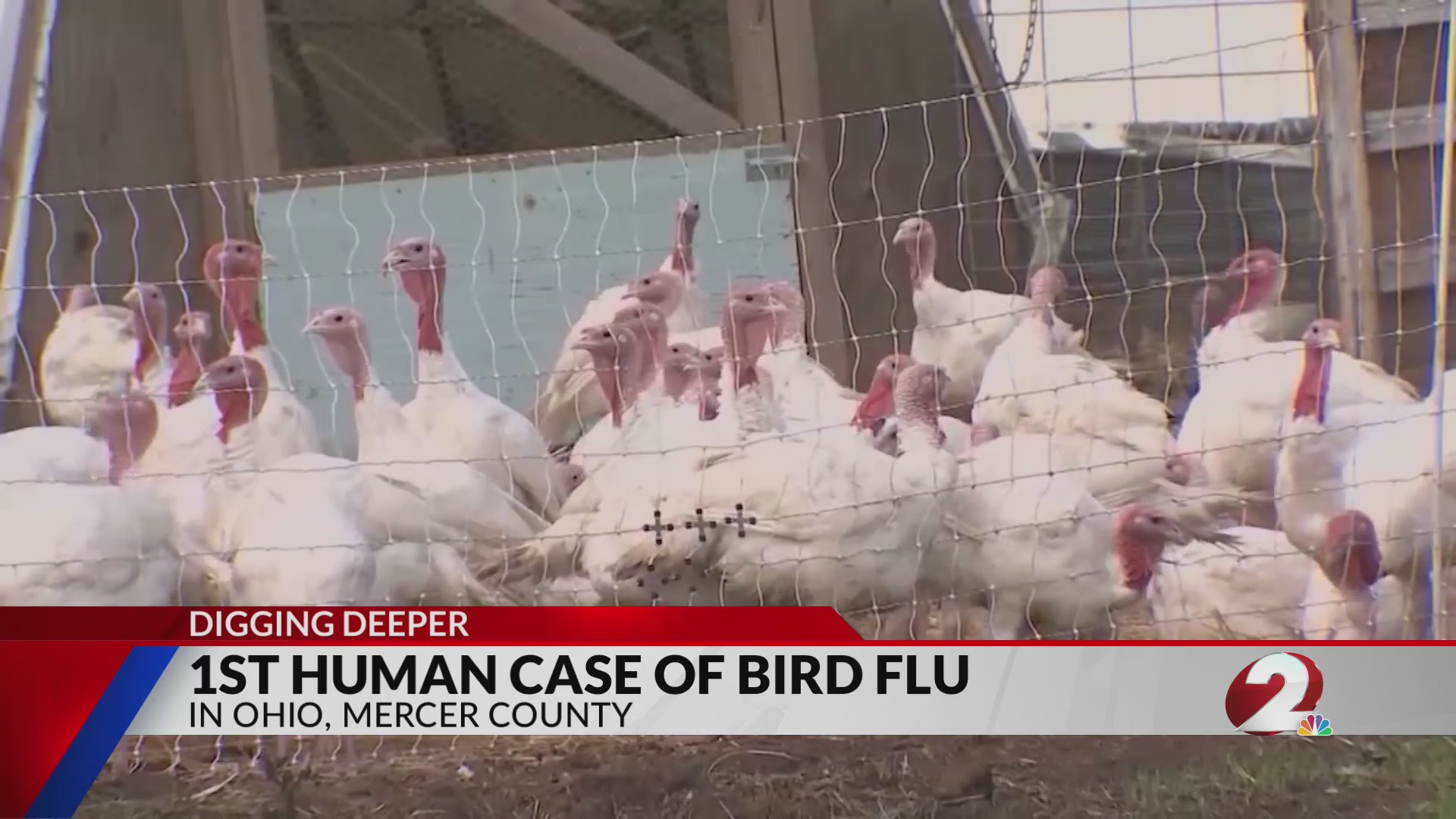 1st human case of bird flu in Ohio arrives in Mercer County – WDTN.com