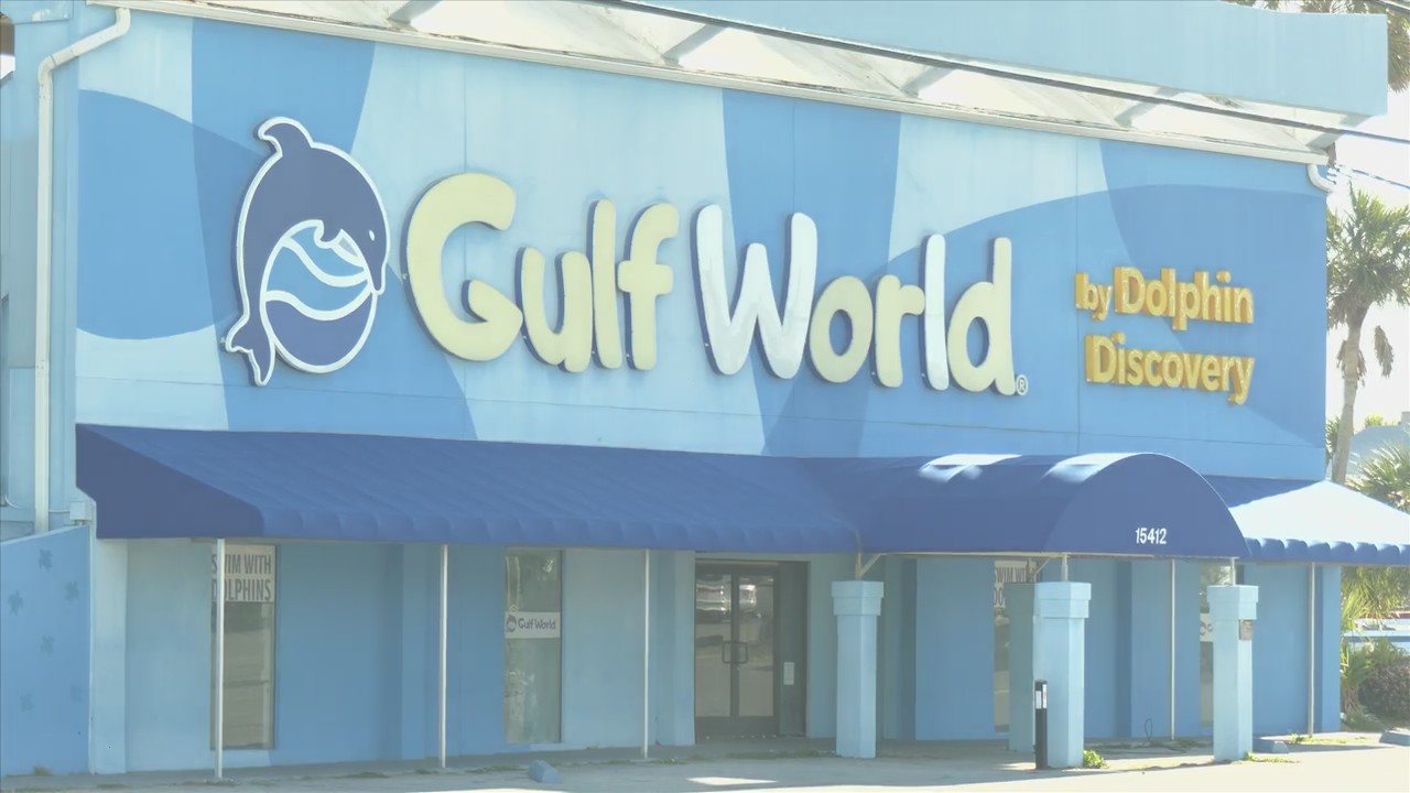 Gulf World dolphins at Marineland officially sold to another Florida ...