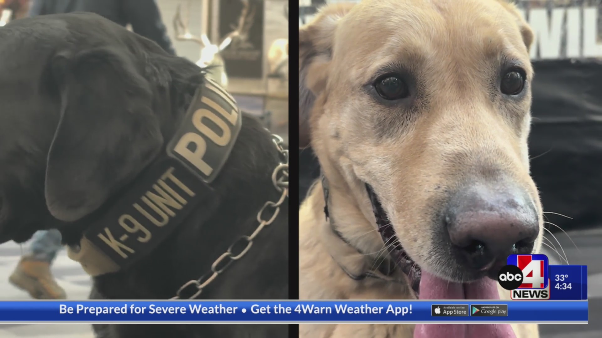 How K9 officers are solving poaching cases – ABC4 Utah