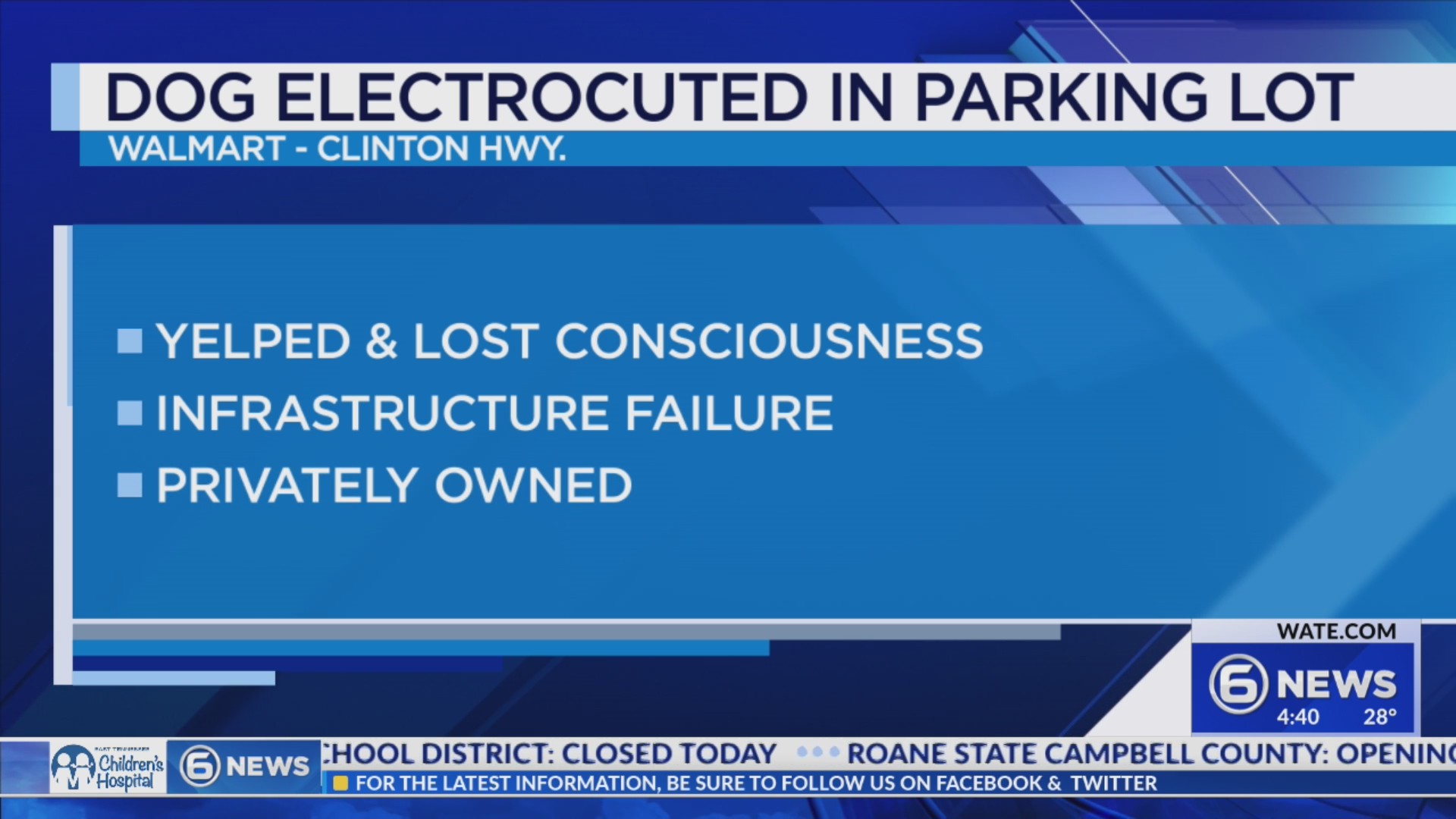 Dog fatally electrocuted after stepping in puddle outside Knoxville ...