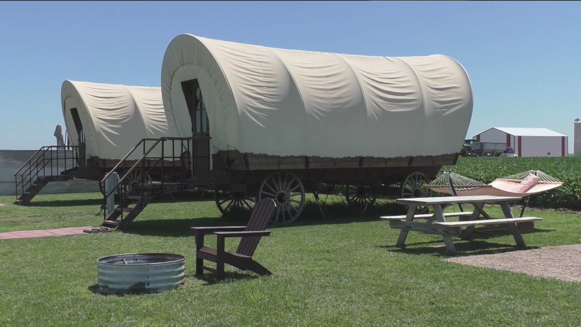 Gabe on the Go: Unwinding at Sunset Hills Bison Ranch – who13.com