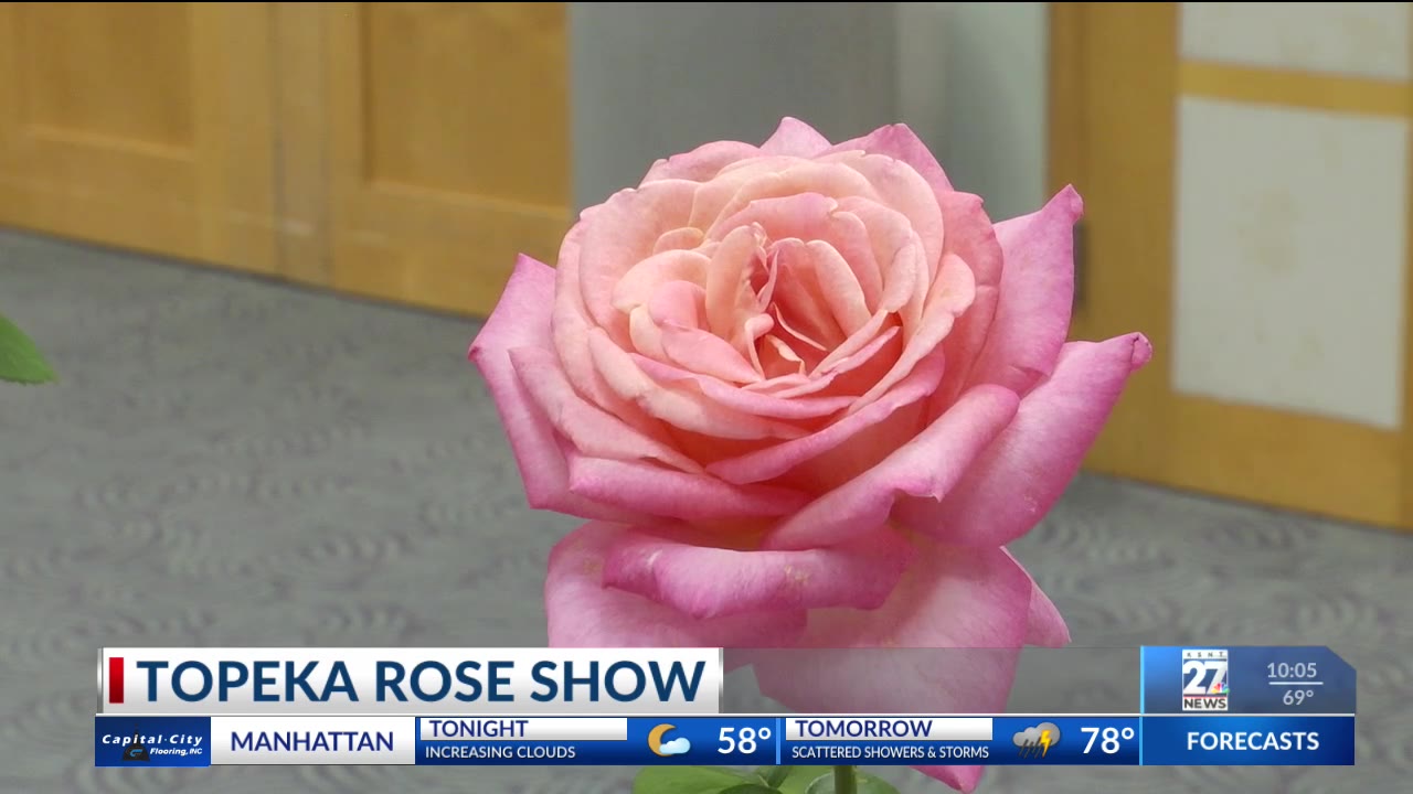 People stop to smell the roses at Topeka rose show – KSNT 27 News