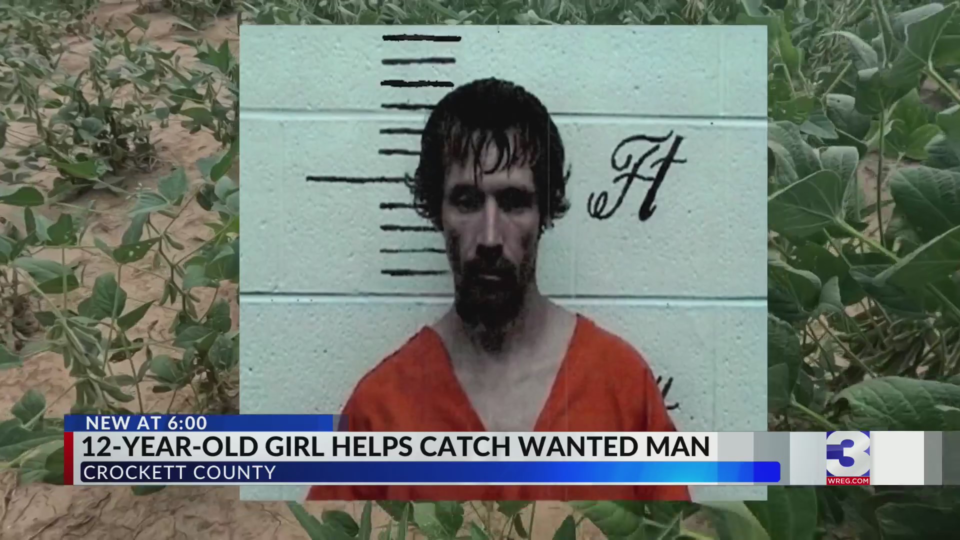 12-year-old girl, grandma chases burglar into soybean field – KX NEWS