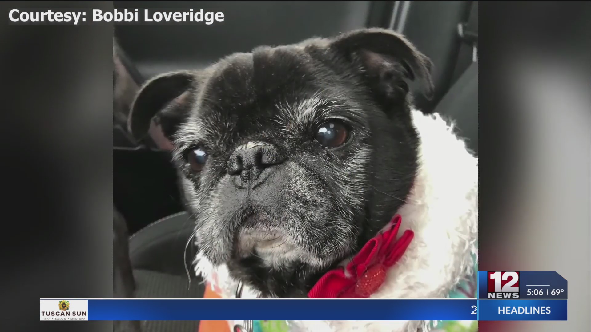Thousands of pet owners receive wrong ashes from Pittsburgh-area ...