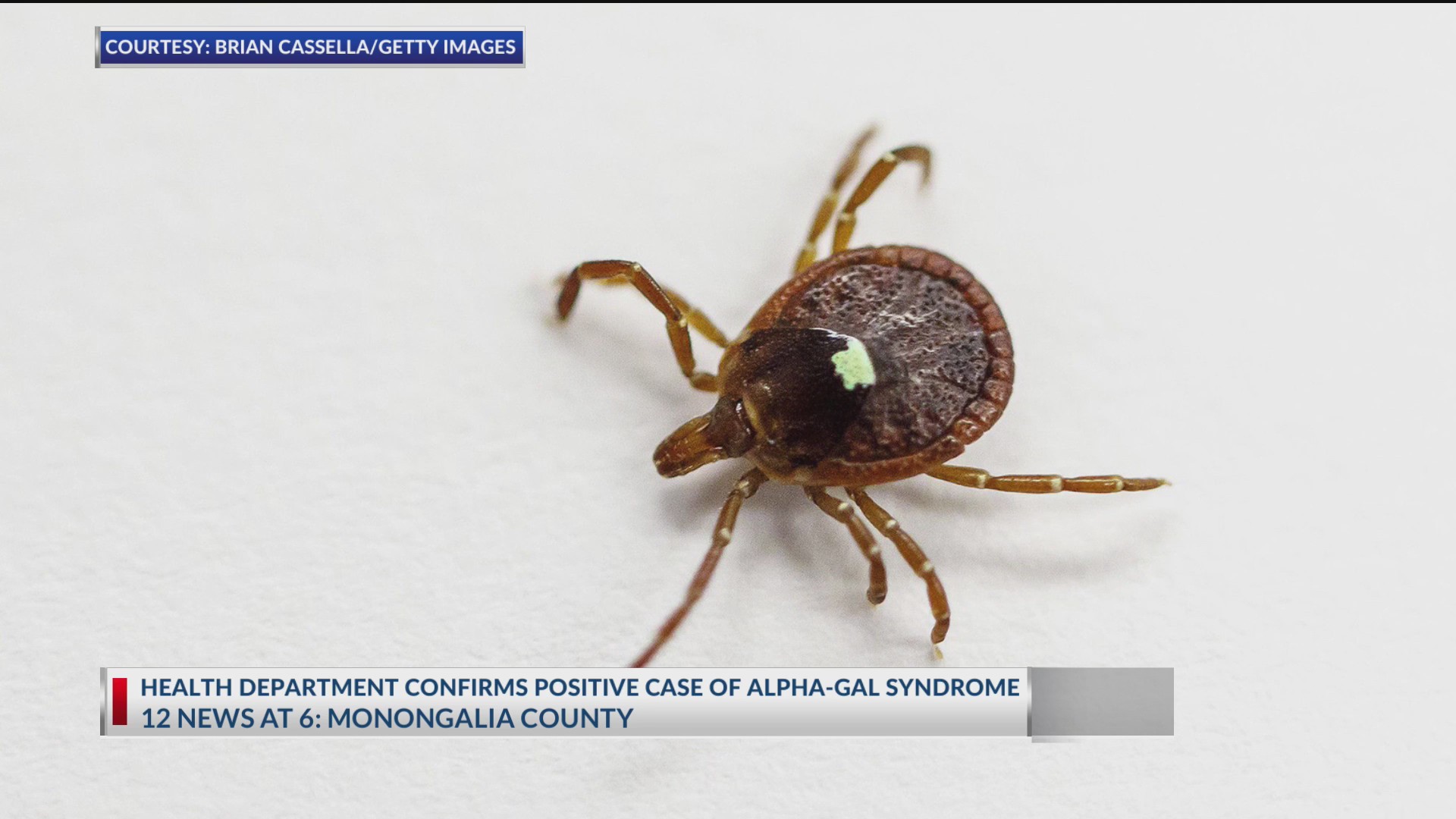 Tick-born illness that causes meat allergy confirmed in West Virginia – WTRF