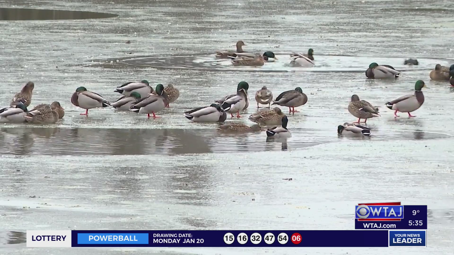 Pennsylvania Game Commission continues investigation into avian ...