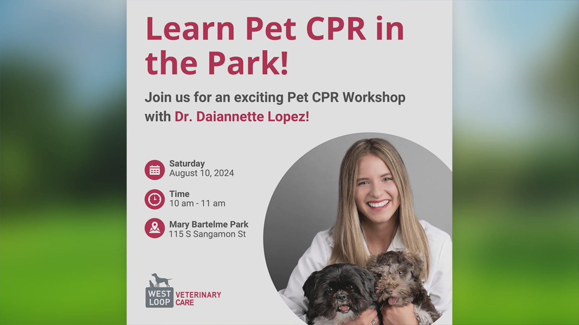 Pet Health and CPR Tips with Dr. Daiannette Lopez of West Loop ...