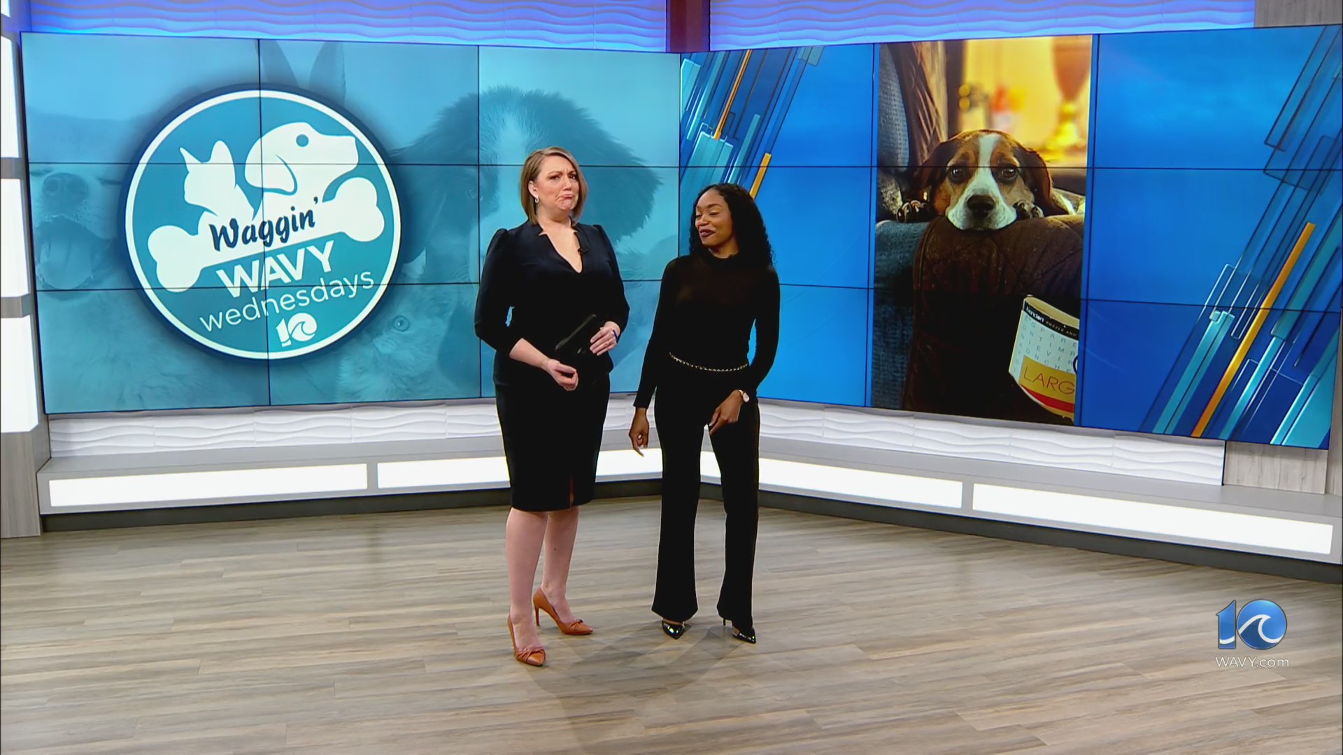 Waggin’ WAVY Wednesday Contest winner | Week of Feb. 16-22 – WAVY.com