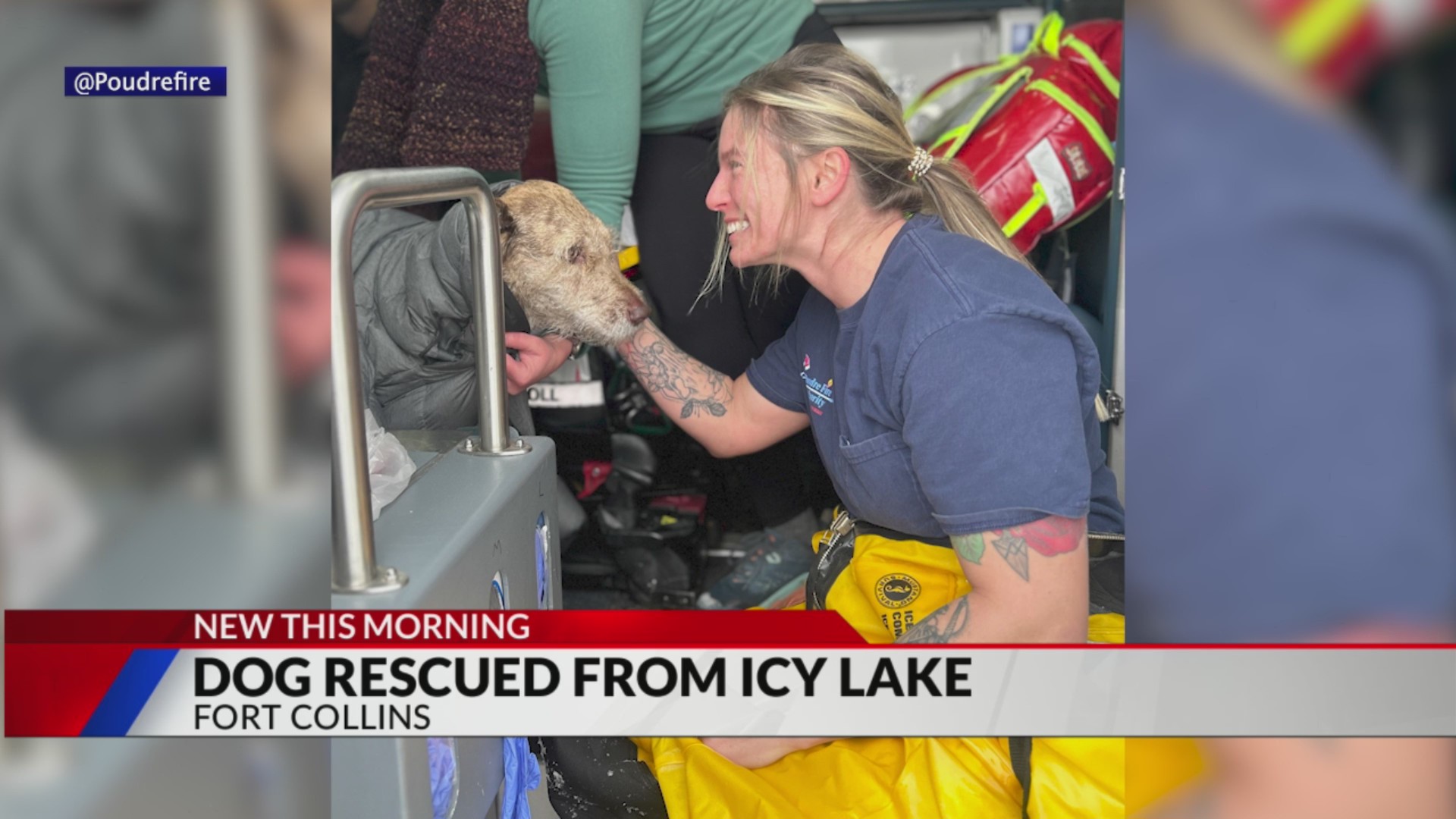 Fire crews rescue dog from icy pond – FOX31 Denver
