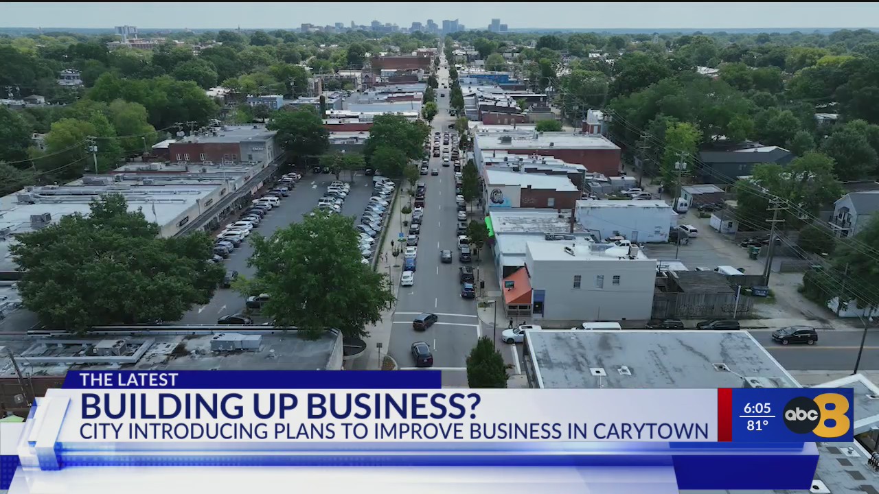 Is Carytown Richmond’s next business improvement district? – WRIC ABC 8News