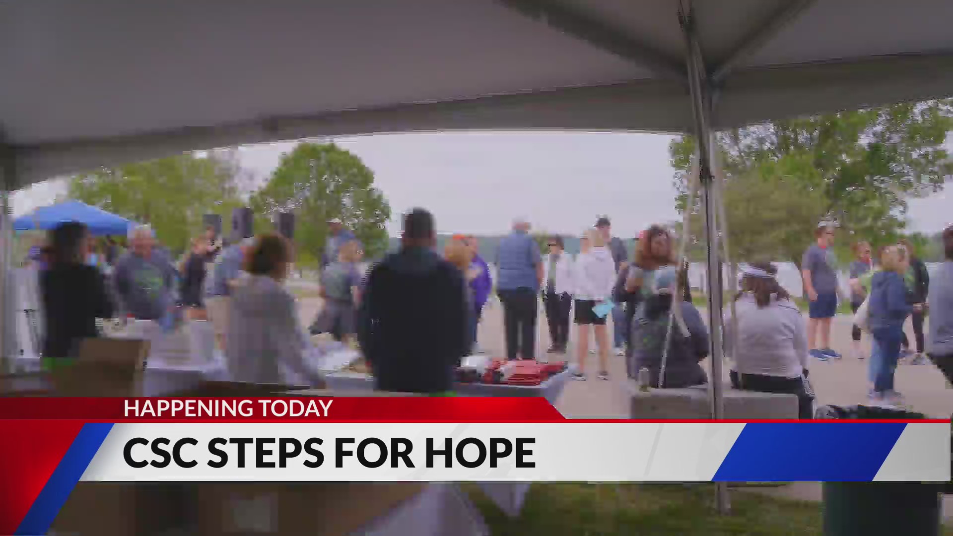 Walk for a cause: Steps for Hope returns to St. Louis – FOX 2
