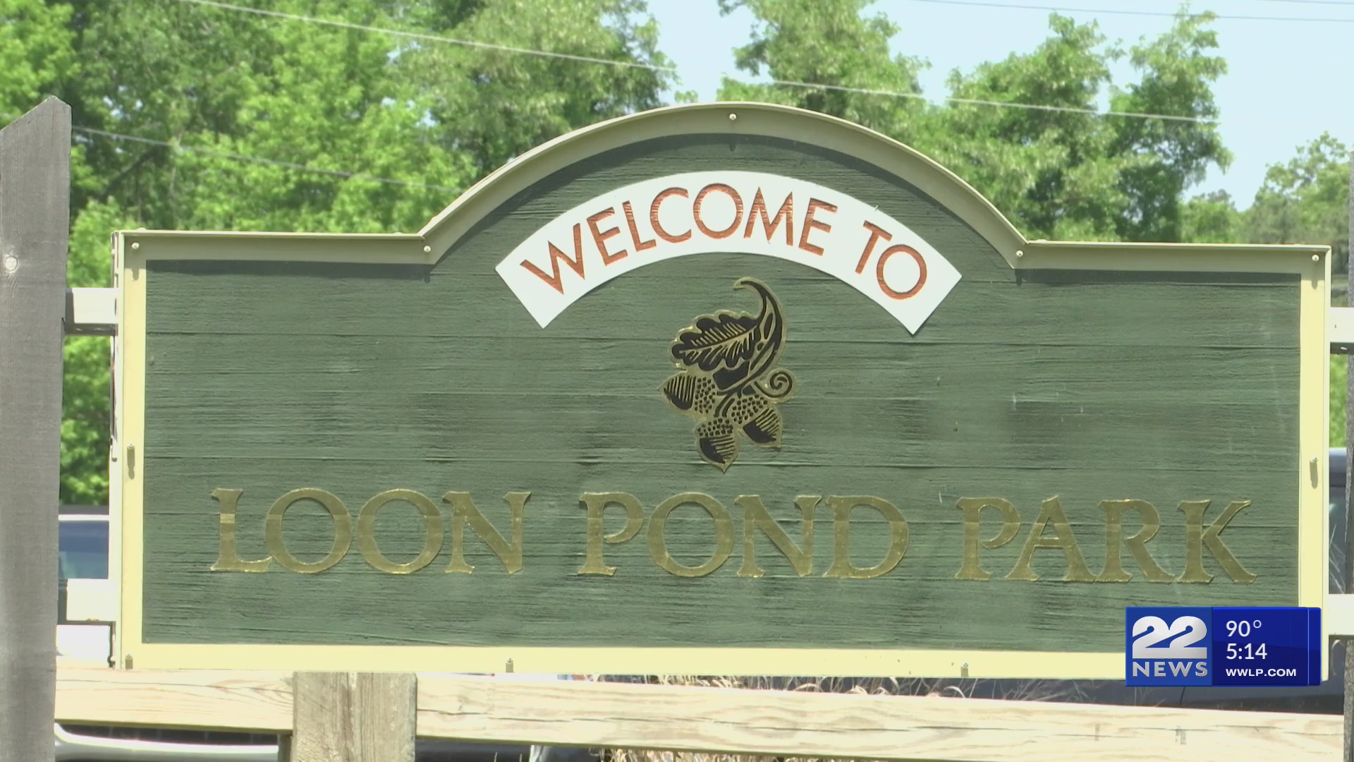 Loon Pond in Springfield set to reopen Wednesday – WWLP