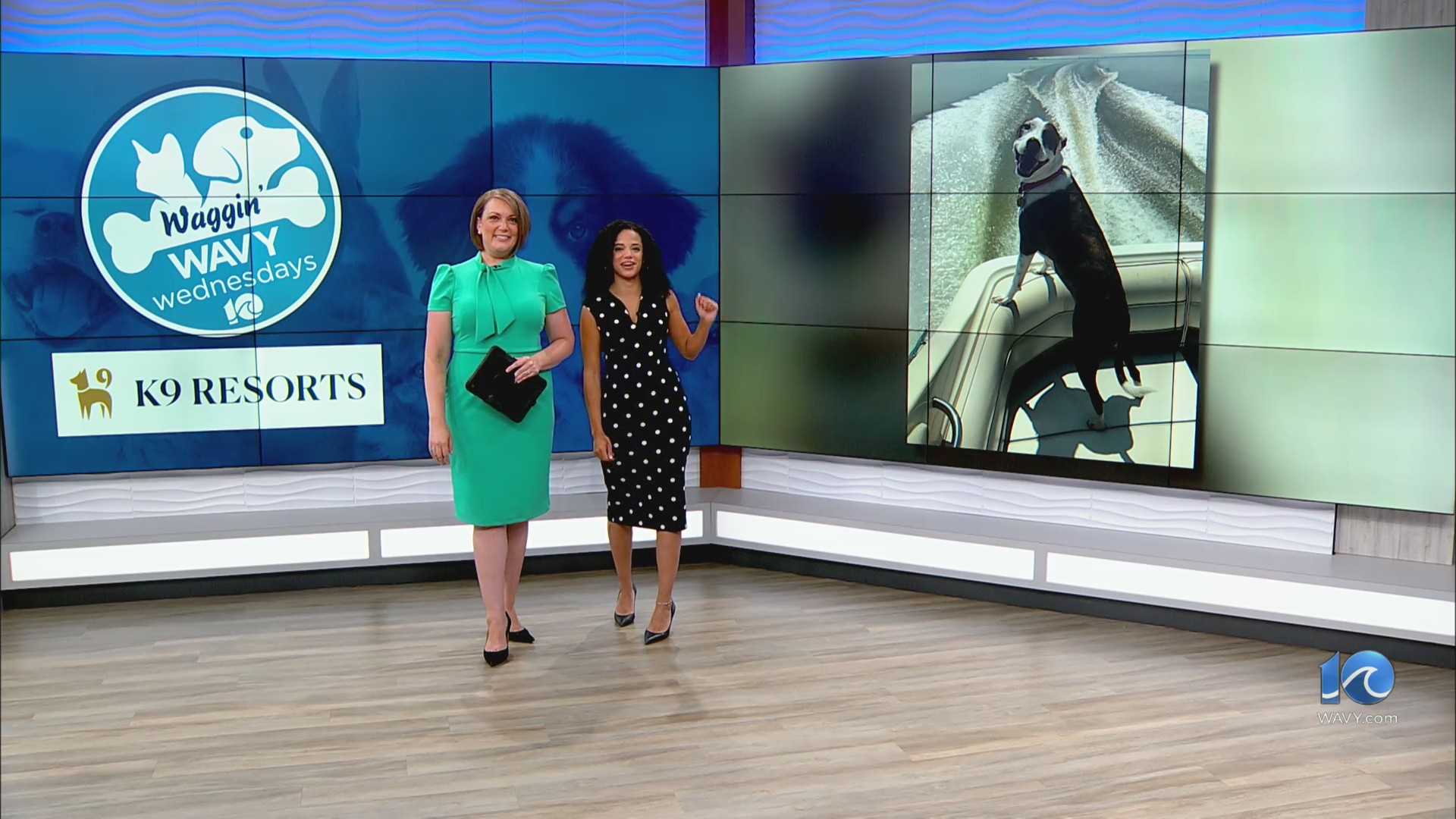 Waggin’ WAVY Wednesday contest winner | Week of June 23-29 – WAVY.com