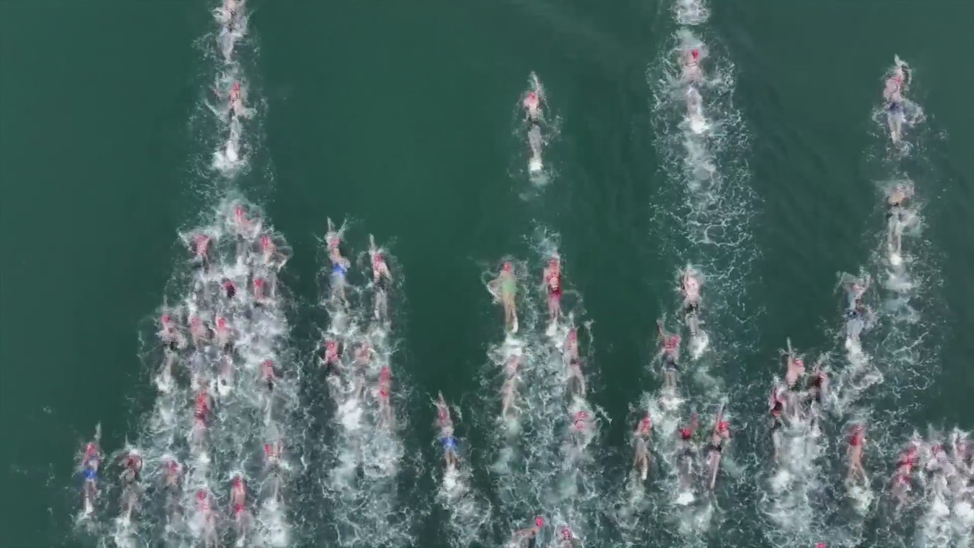 First Chicago River Swim in nearly 100 years set for Sunday – WGN-TV