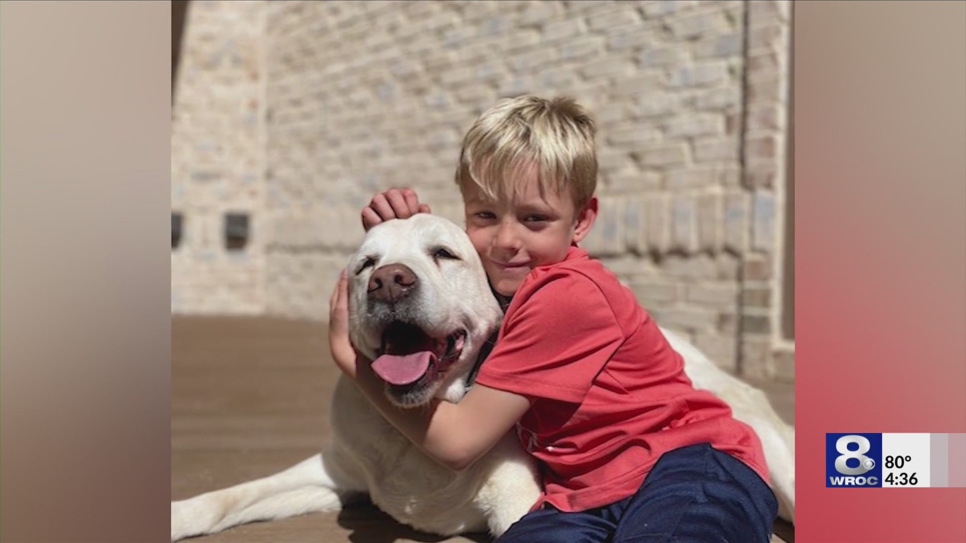 ‘Amoeba does not discriminate’: Family hopes to raise awareness for ...