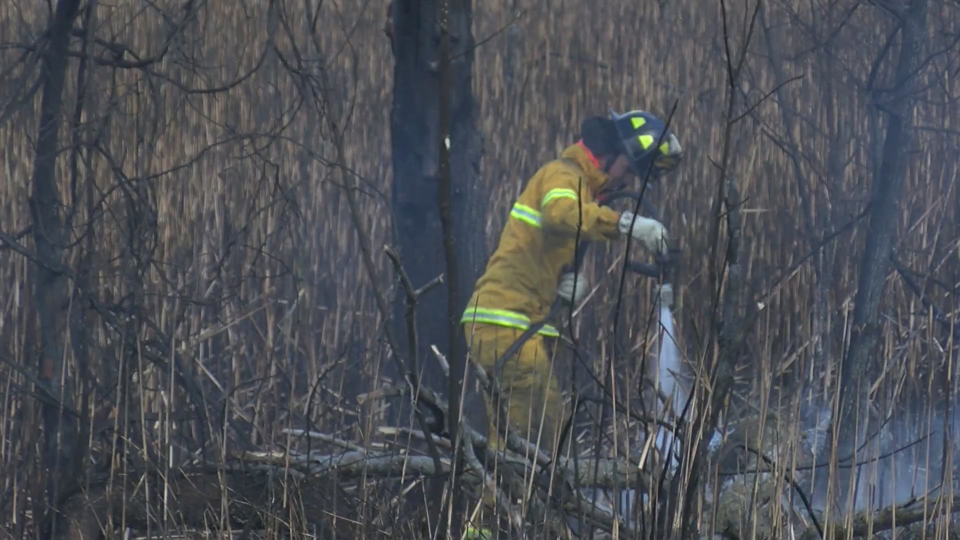 Wildfire burns 65 acres in Door County; nearly 150 firefighters respond ...