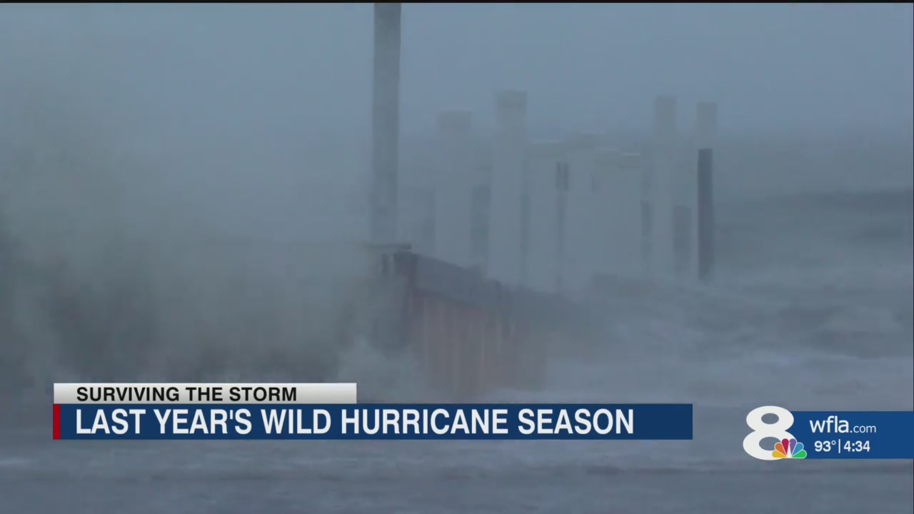 Surviving the Storm: Looking back at 2024’s wild hurricane season – WFLA