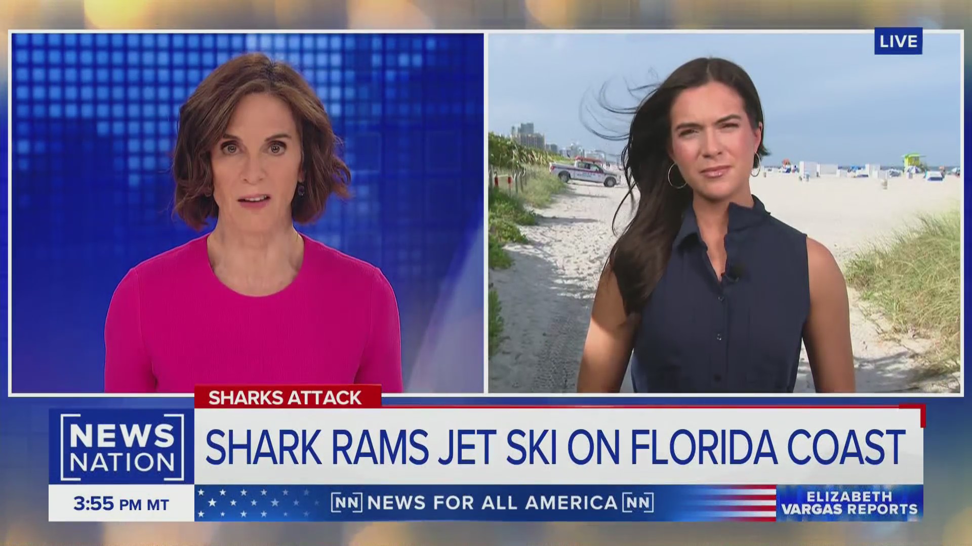 Florida shark attacks: 2 doctors on vacation saved teen’s life | Vargas Reports – NewsNation