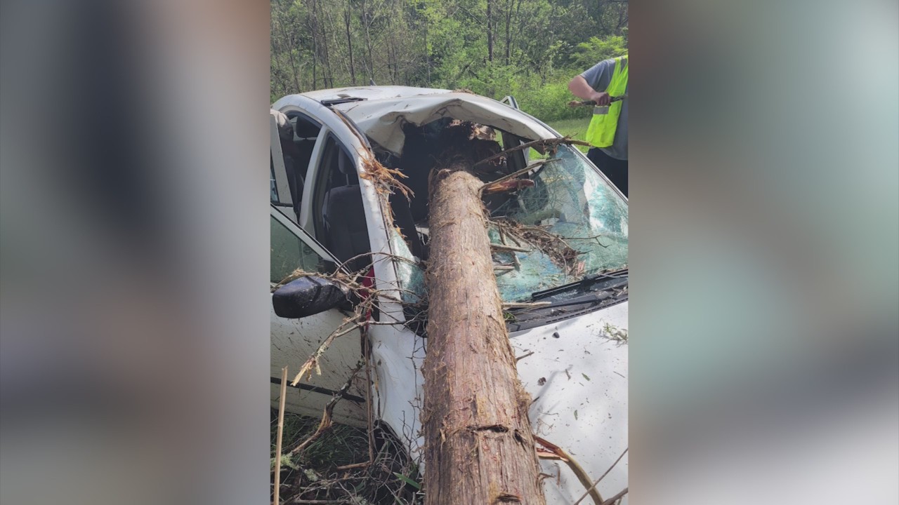 THP: Driver charged with DUI after tree impales car – WJHL | Tri-Cities ...