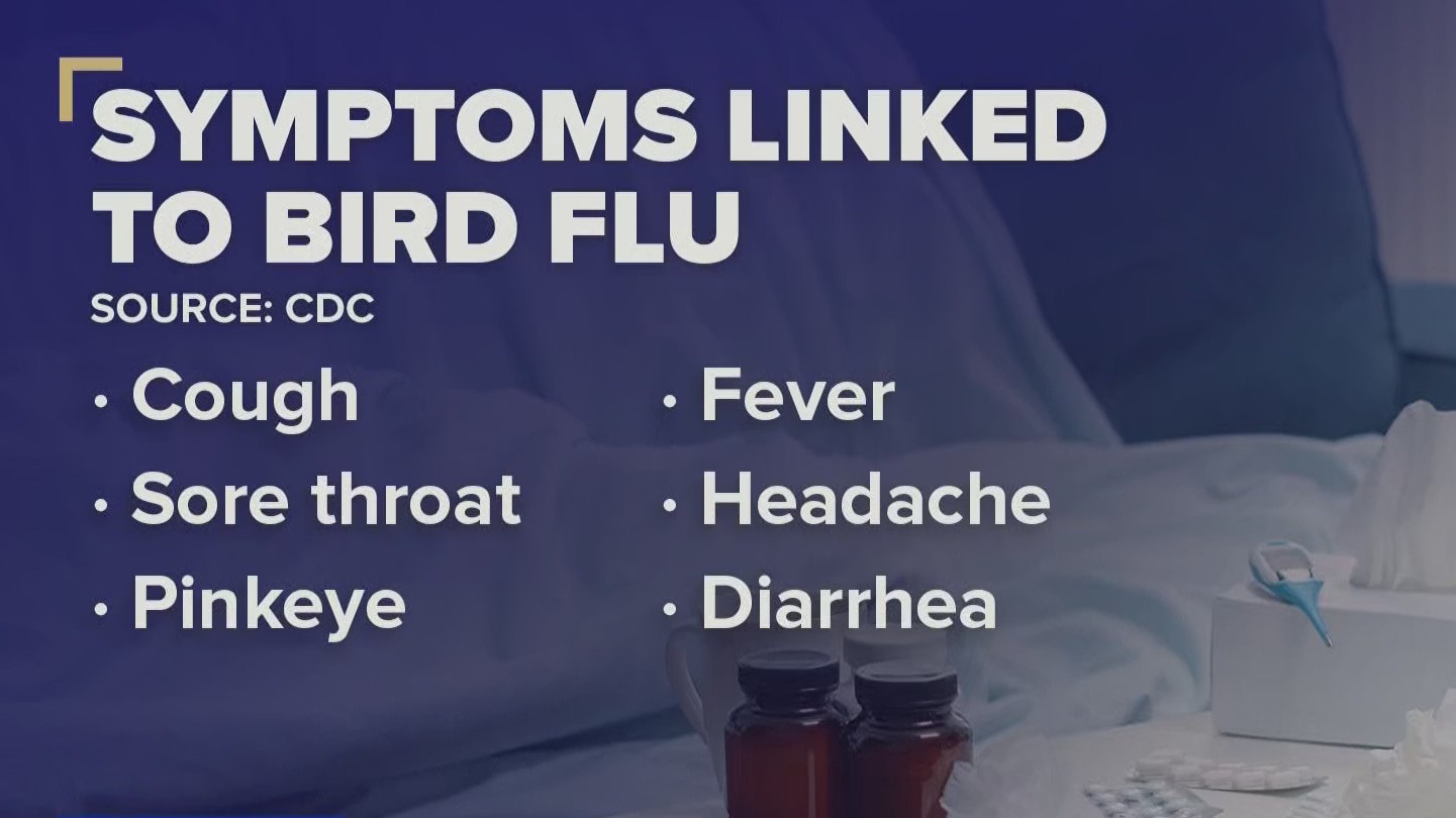 How serious is bird flu? | On Balance – NewsNation