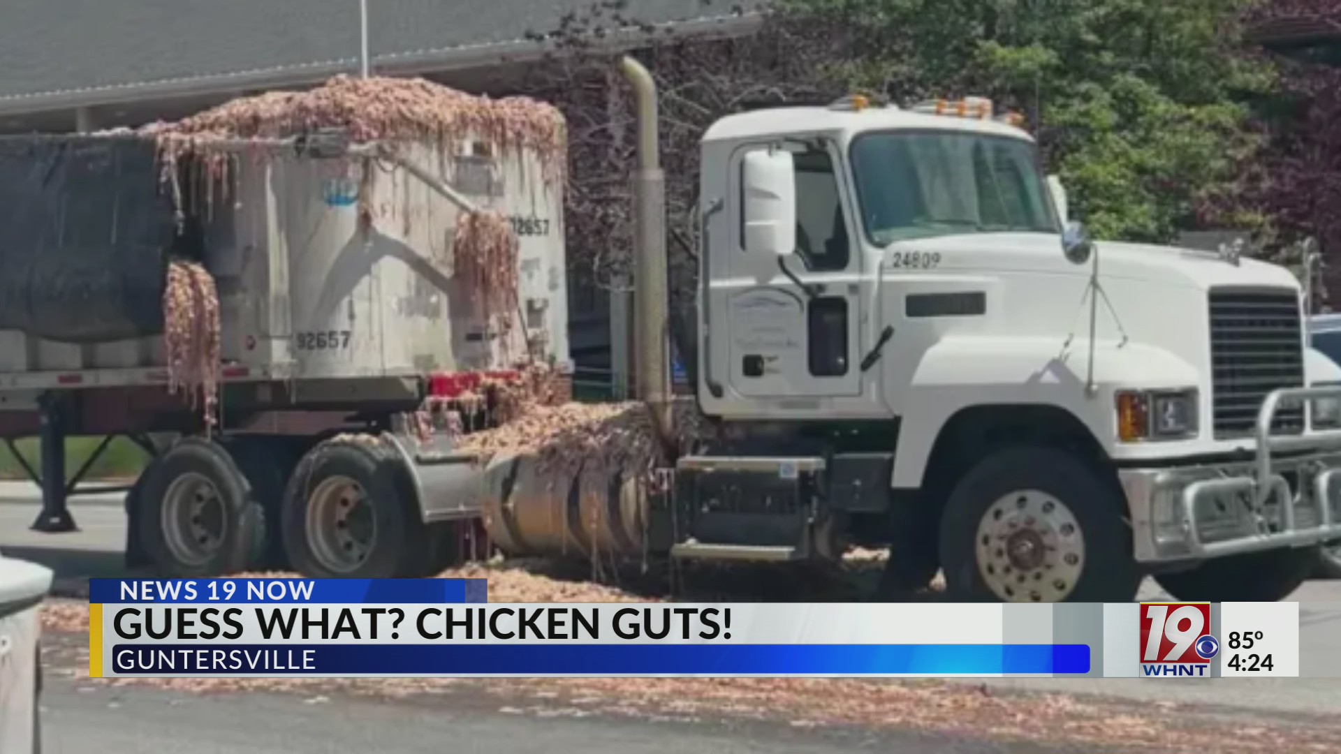 Guess What? Chicken Guts! | April 18, 2025 | News 19 at 4 p.m. – WHNT.com