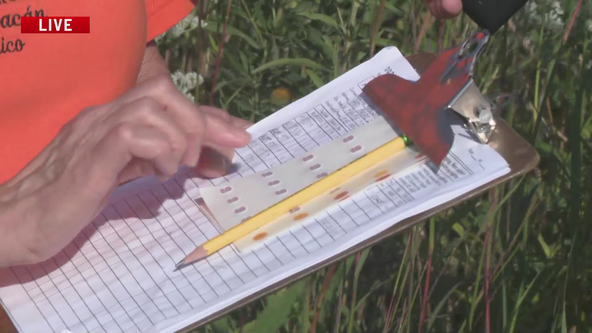 Monarch butterfly tagging process explained at Neal Smith National ...