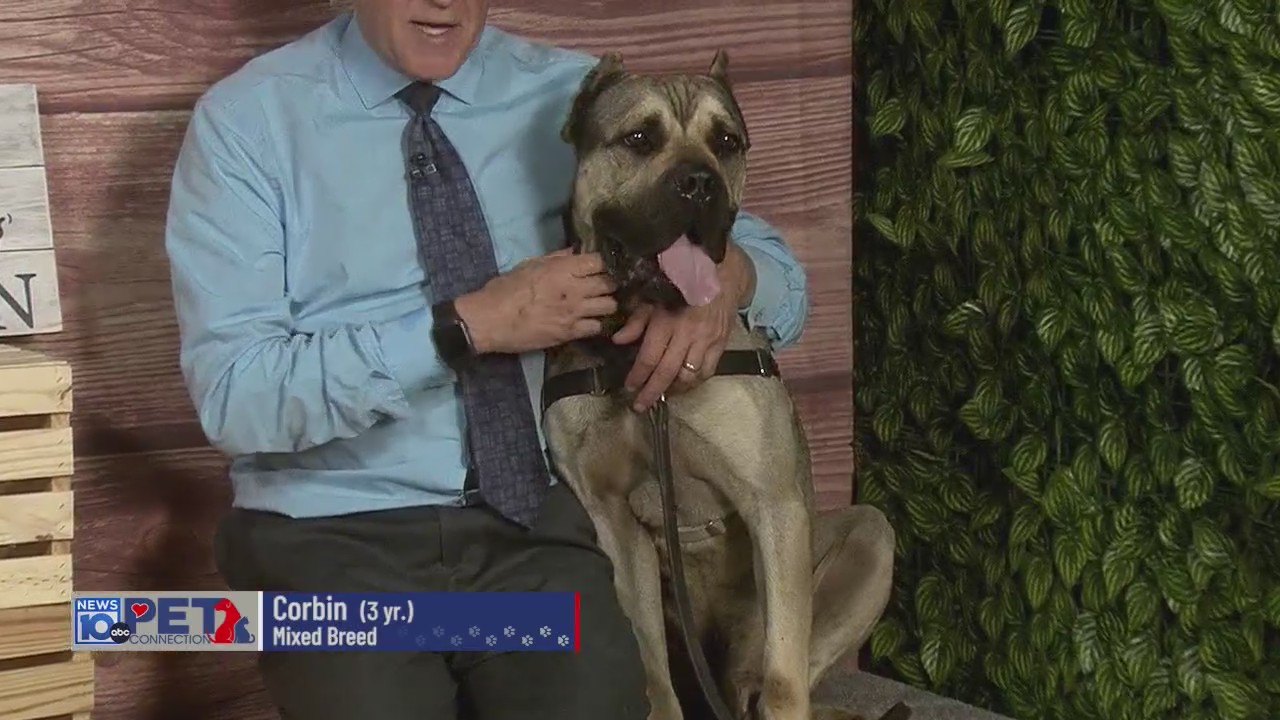 Corbin – NEWS10 ABC