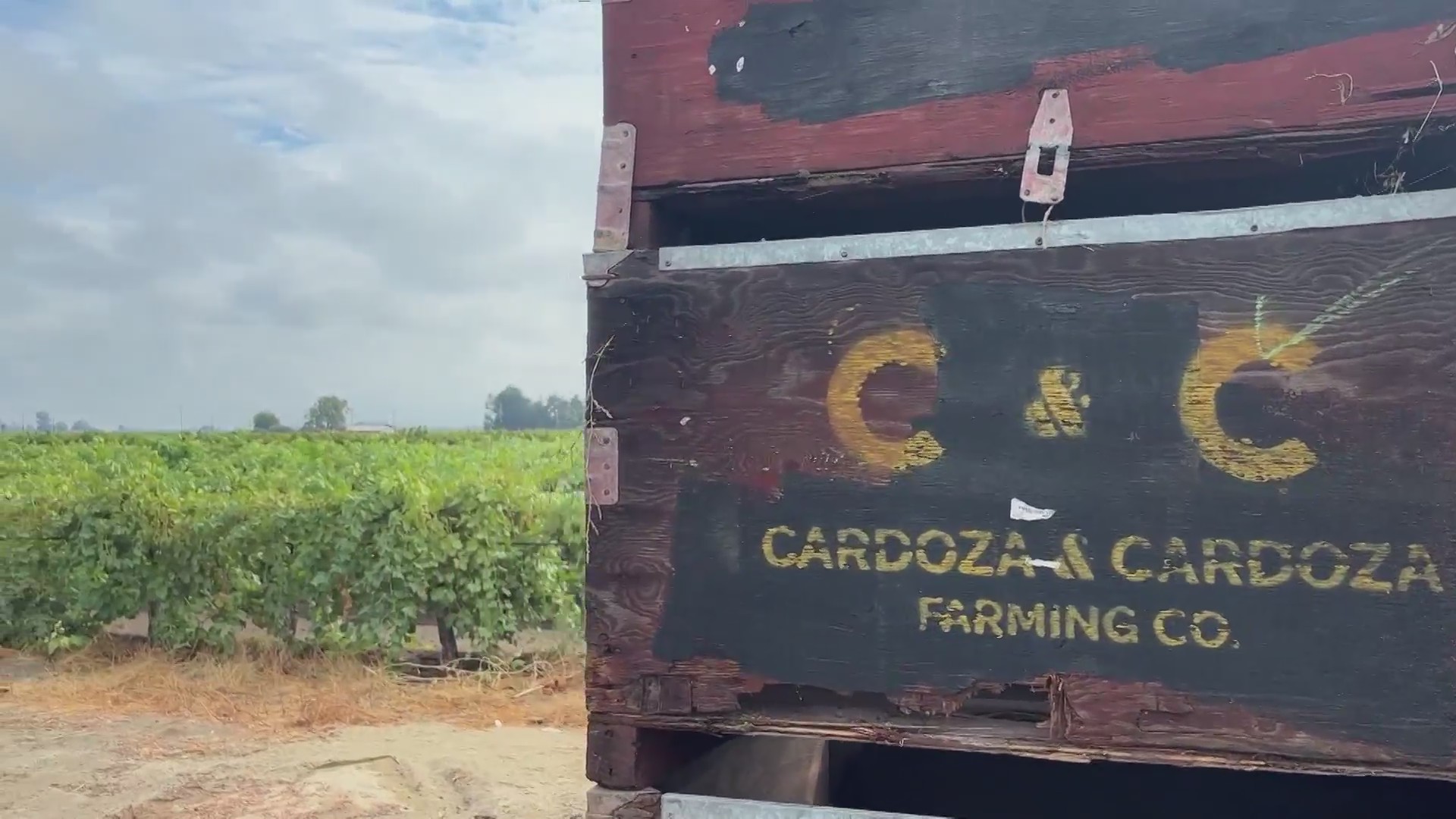 ‘Significant’ amount of Central Valley raisin crop could be impacted by ...