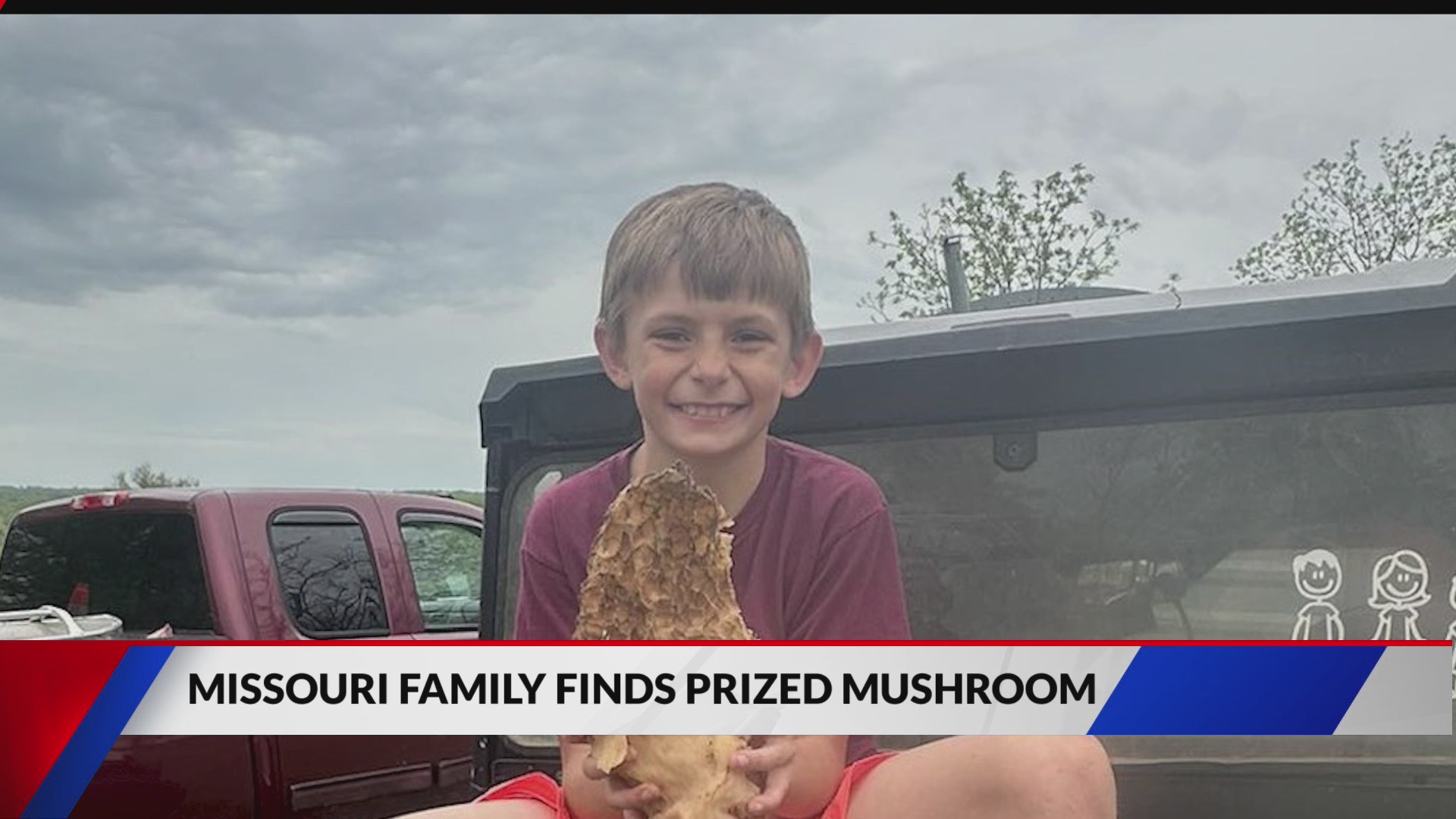 Missouri boy finds giant morel mushroom nearly the size of his own head ...