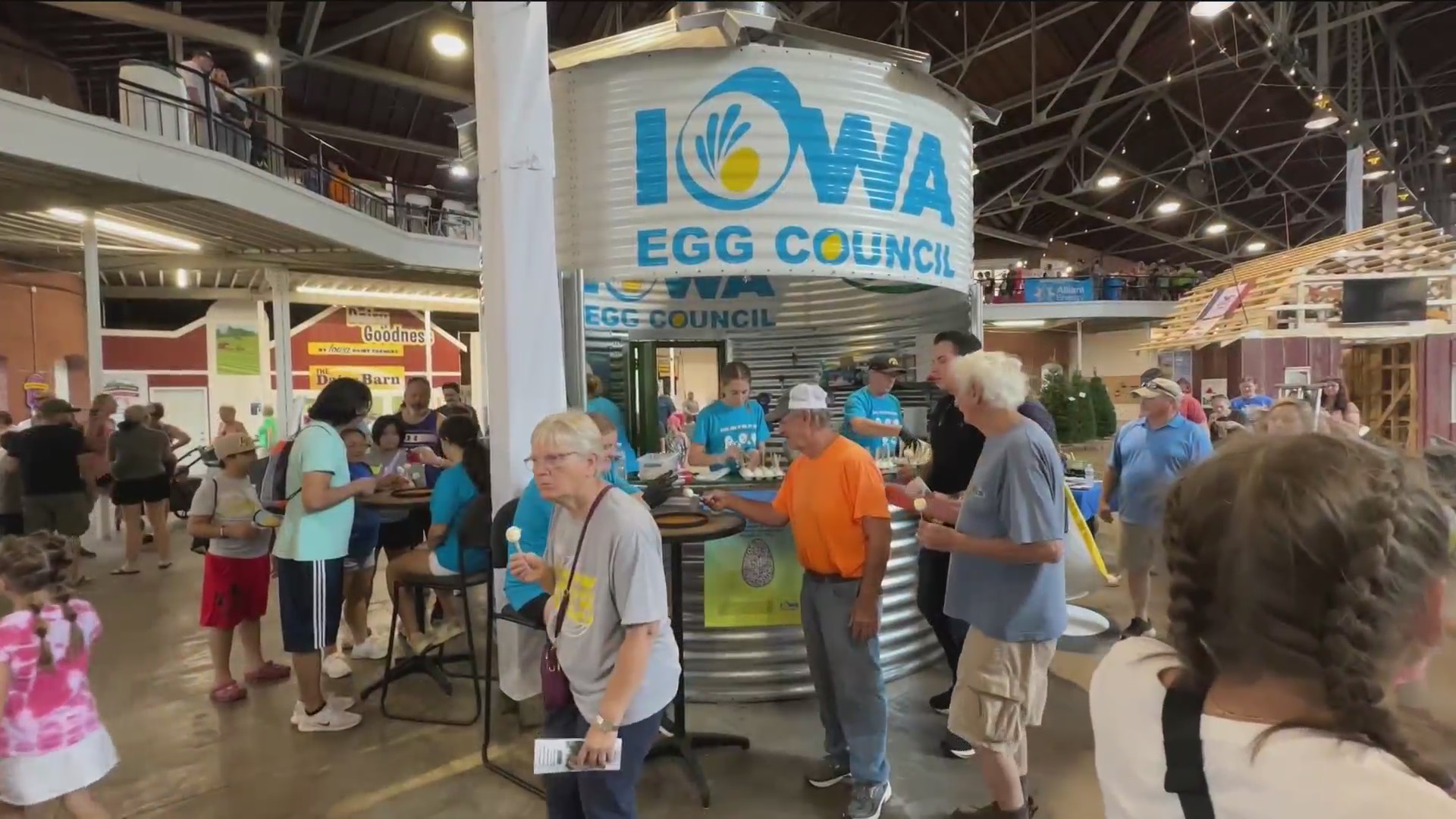 New record hatches! Iowa Egg Council breaks single-day record for eggs ...