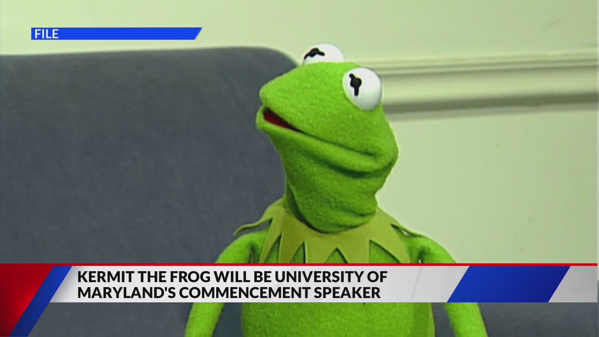 Kermit the frog to be commencement speaker at University of Maryland – FOX 2
