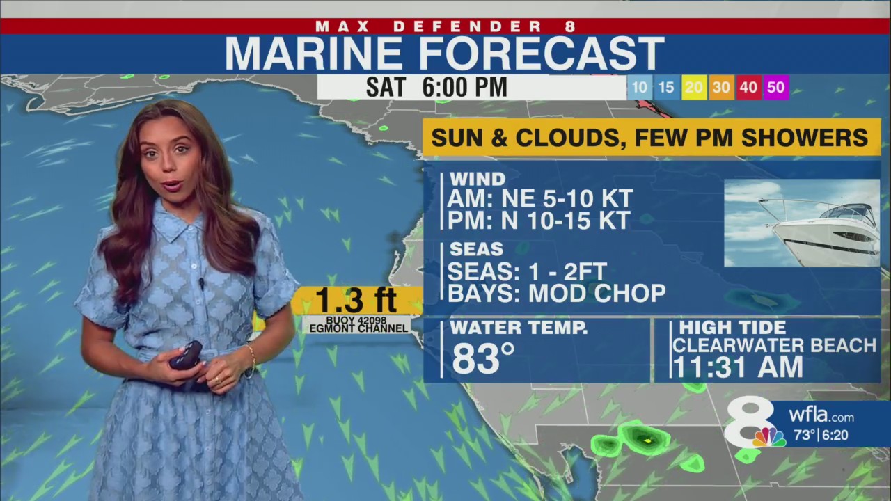 News Channel 8 Today: Weekend Edition – WFLA