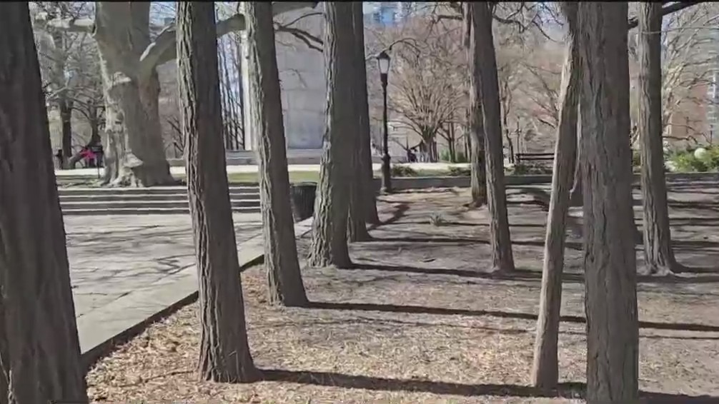 Fort Greene Park tree removal plan divides Brooklyn community – PIX11