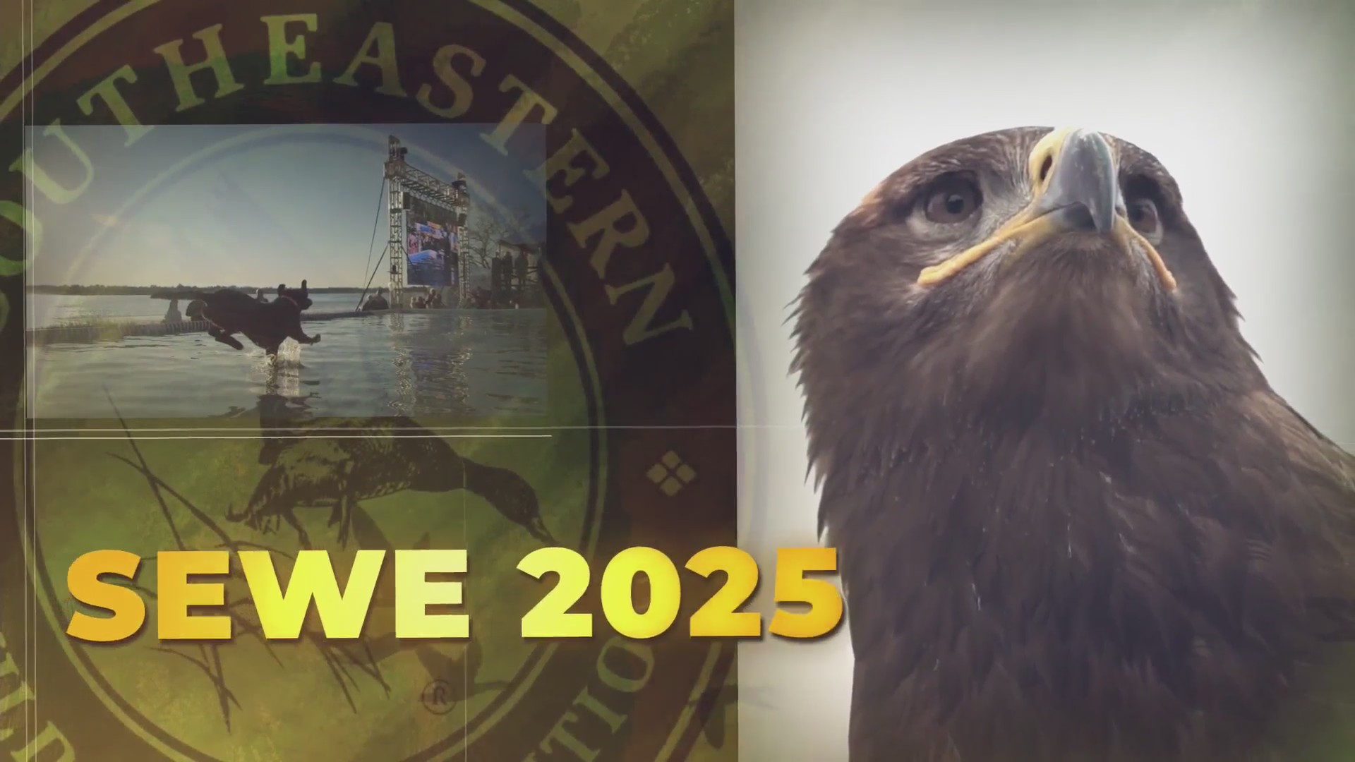 What to do on the final day of SEWE – WCBD News 2