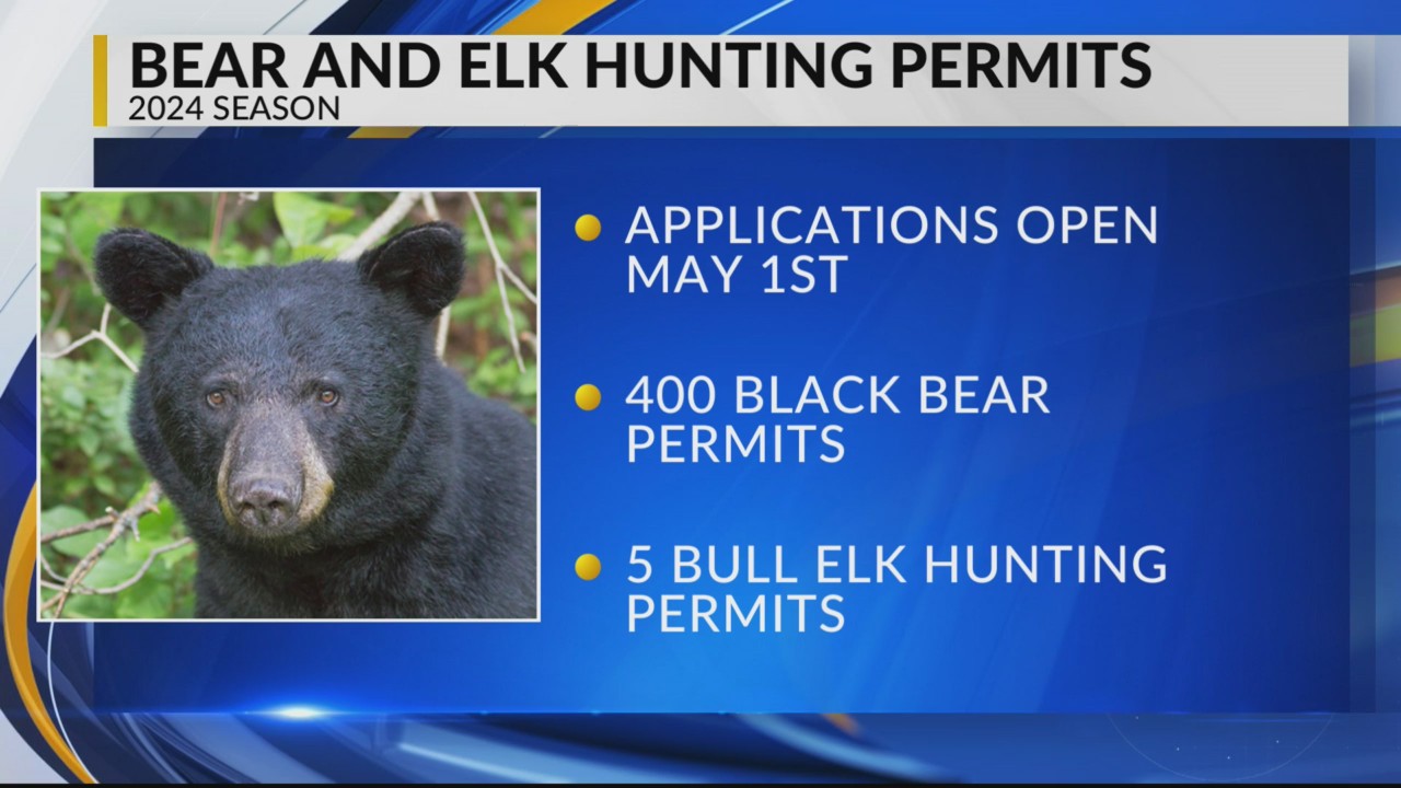 Missouri hunters can apply for bear and elk permits for 2024 – KOLR ...