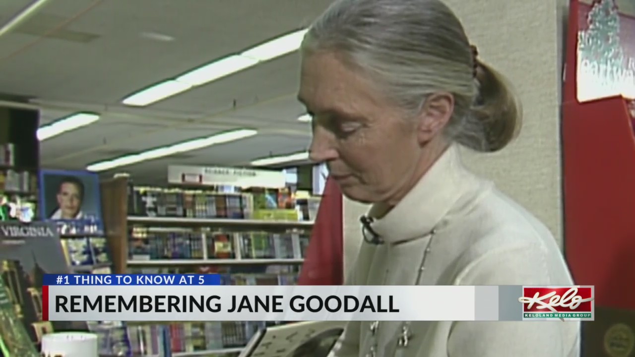 Jane Goodall’s influence in South Dakota – KELOLAND.com