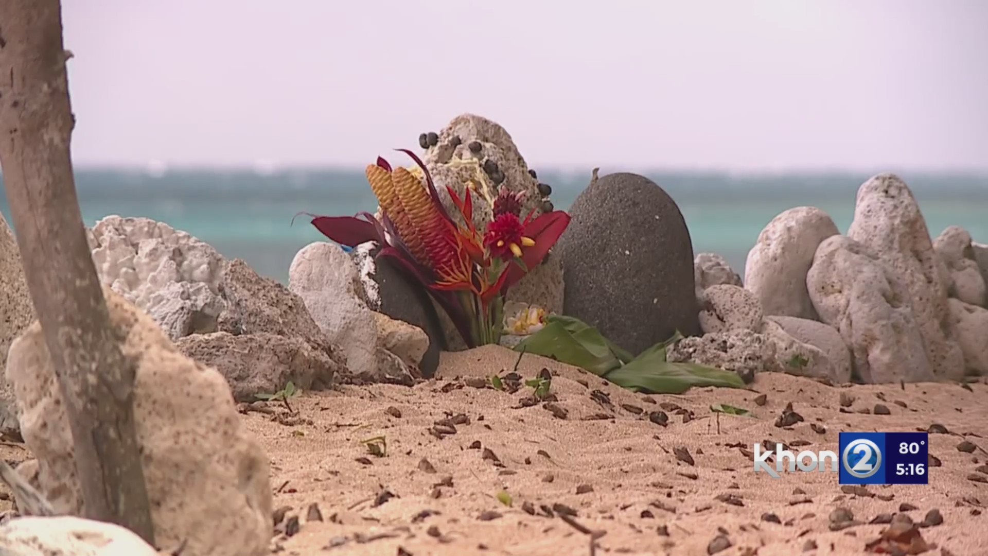 North Shore community to celebrate life of Tamayo Perry – KHON2