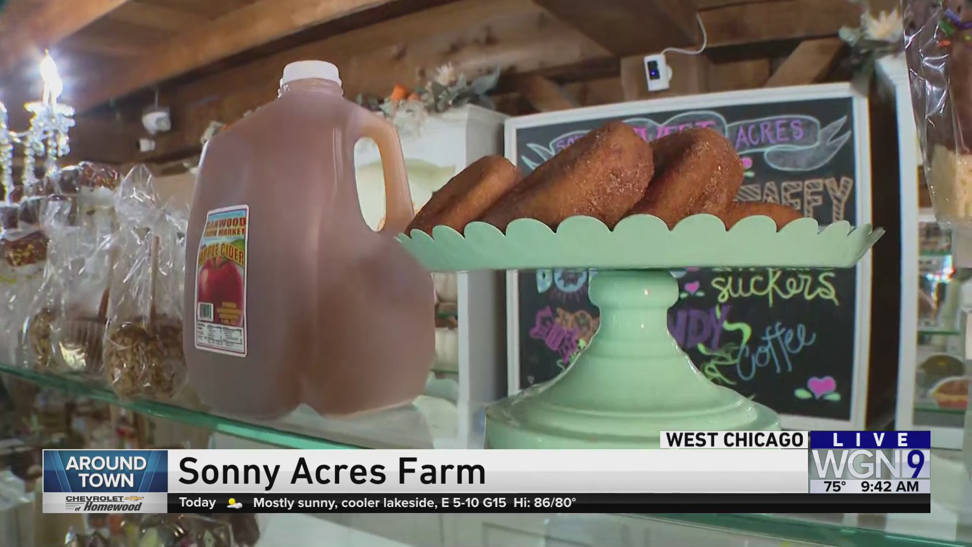Around Town – Sonny Acres Farm – WGN-TV