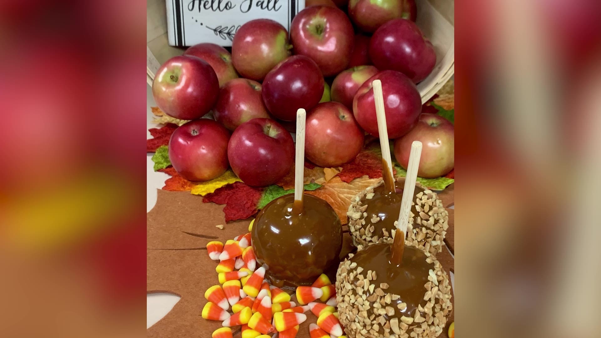 Maranda’s Weekend Fun Guide: Nov. 1-3 – WOODTV.com