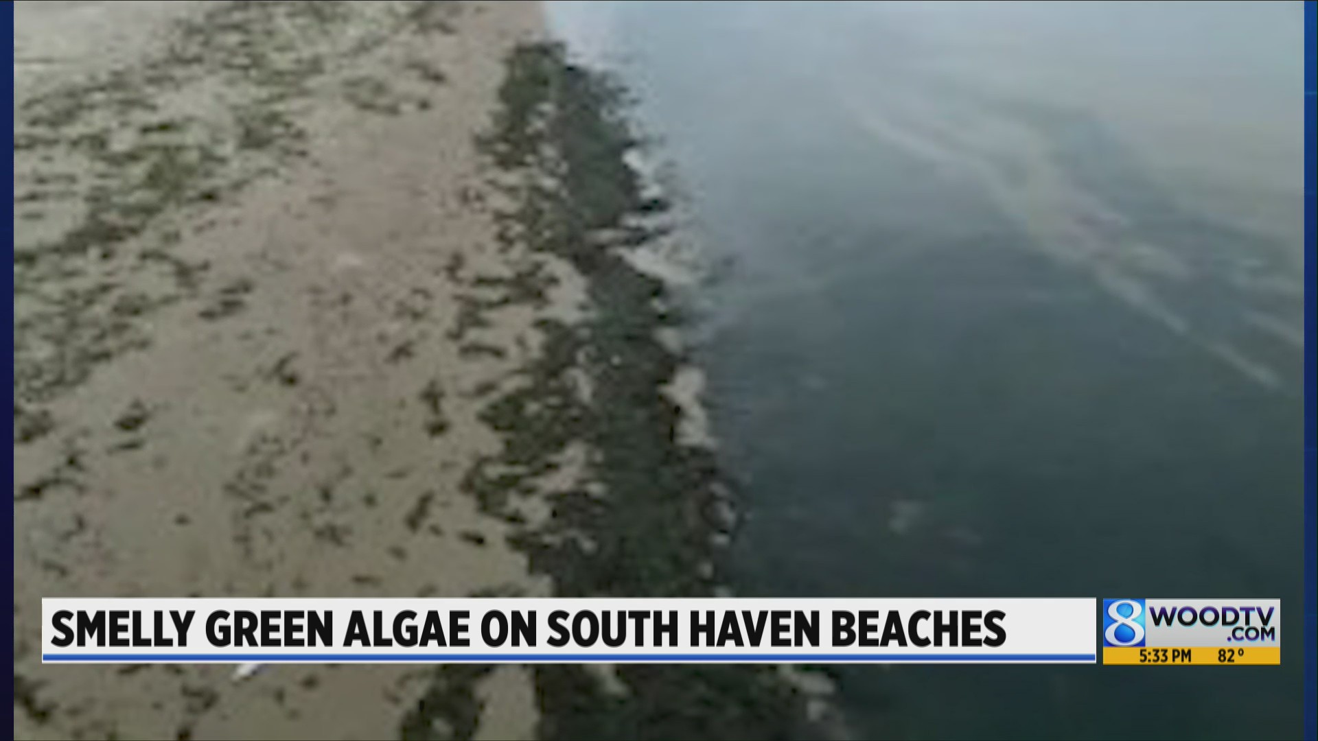 Smelly green algae washes up on South Haven beaches – WOODTV.com
