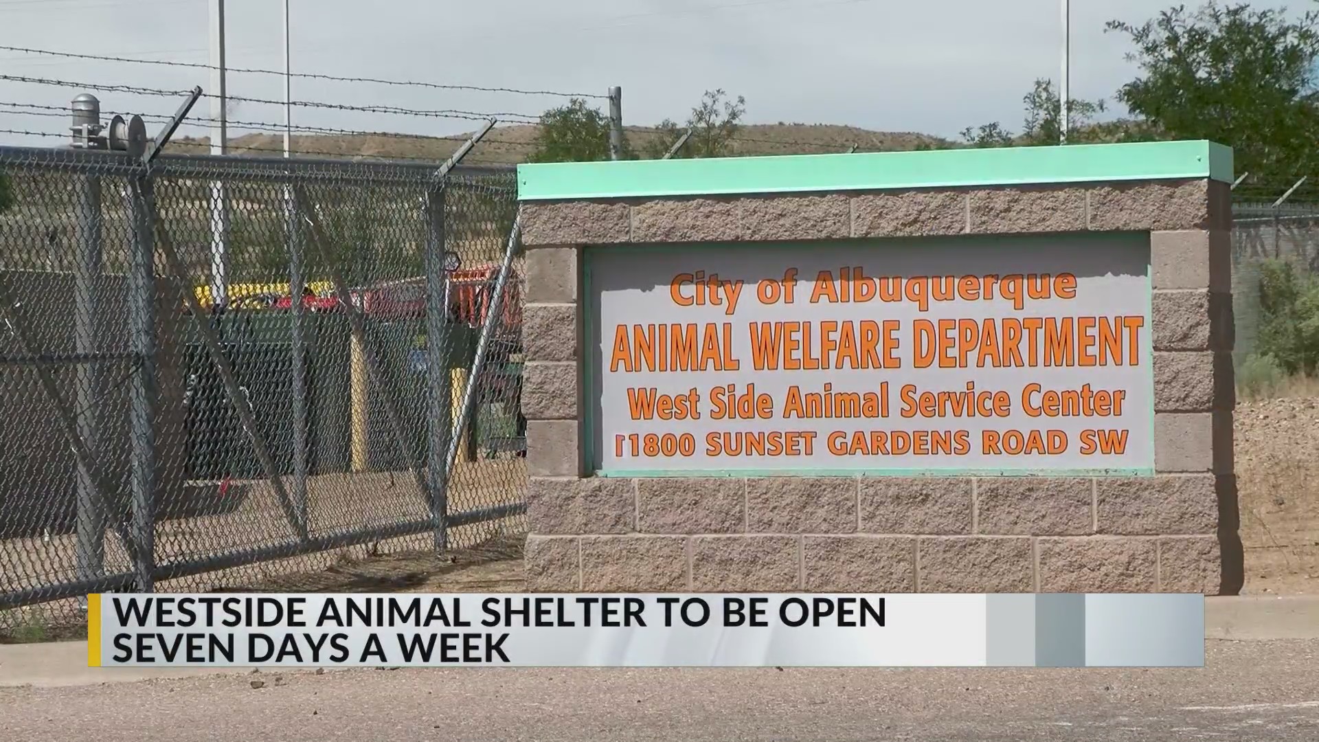 Westside Animal Shelter Albuquerque
