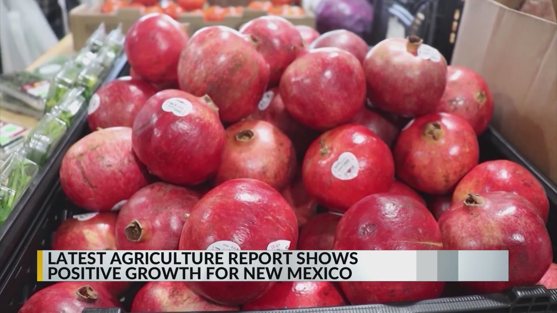 How is New Mexico’s agriculture industry? 2025 report shows growth ...