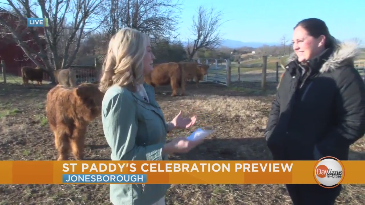 Daytime Tri-Cities Live to preview St. Paddy’s Celebration – WJHL | Tri ...
