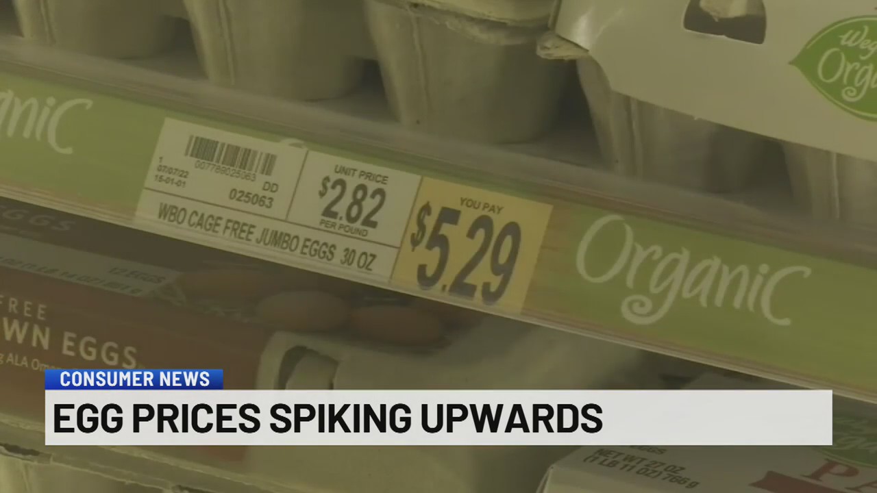 Egg prices spiking upwards – NEWS10 ABC