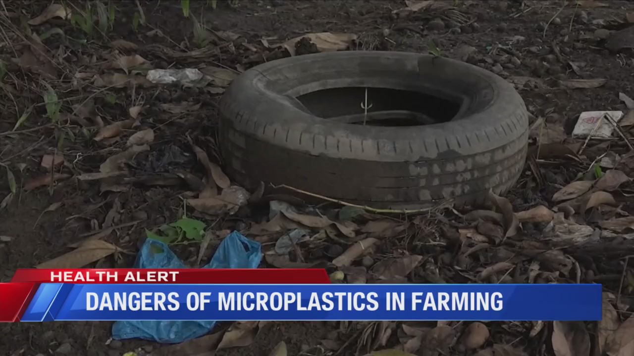 Dangers of microplastics in farming – WFXRtv