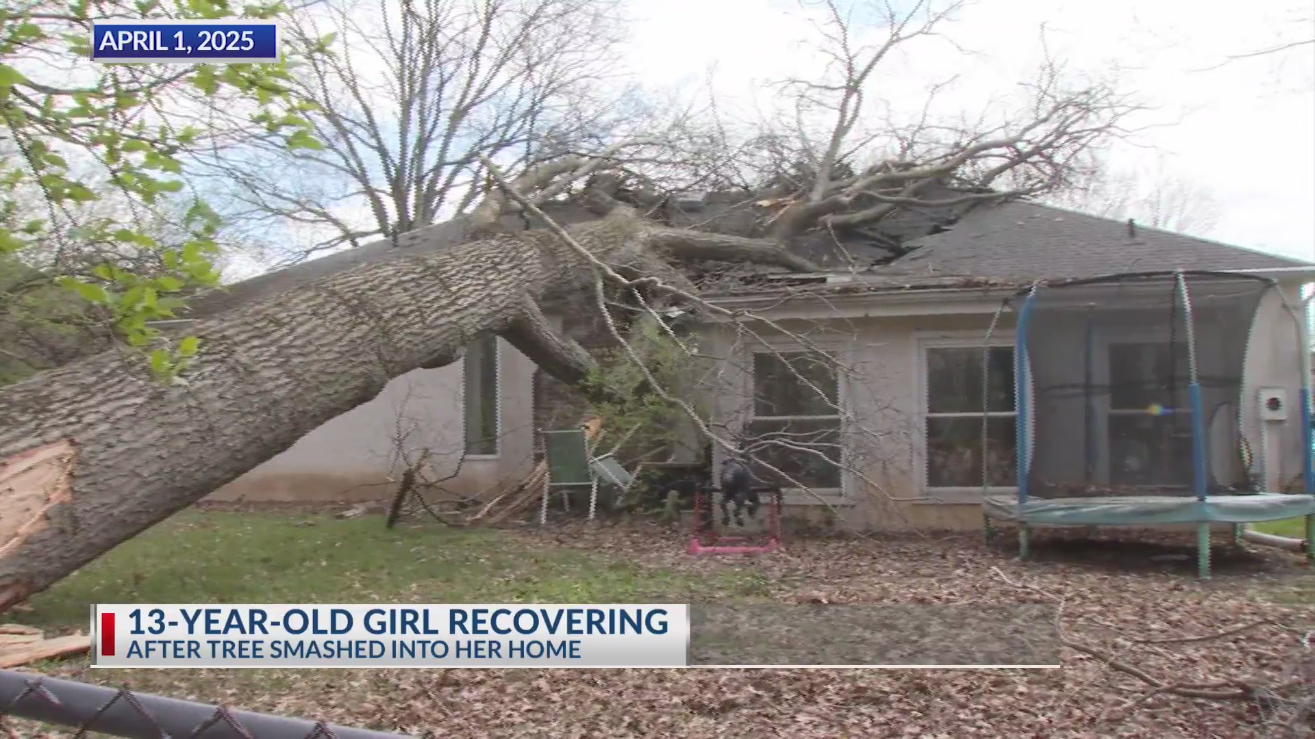 Teen on the mend after tree falls into house during storm – NBC4 WCMH-TV