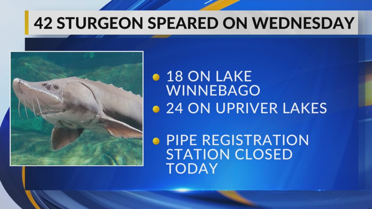 Two sturgeon 100+ pounds speared during another slow day in Wisconsin ...