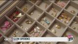 Discover the brilliance of insects at the Perot’s new Bug Lab exhibit ...