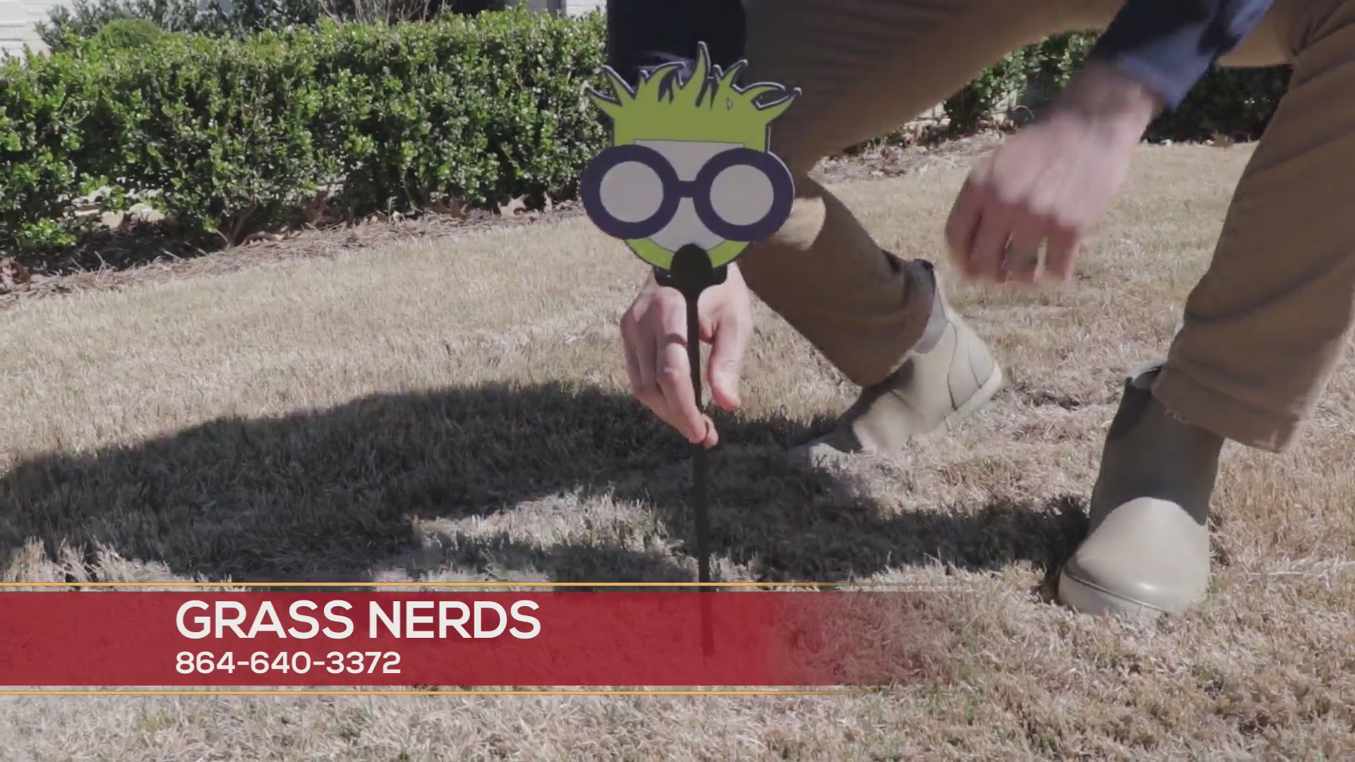 Geek Out Over Your Lawn With The Grass Nerds – WSPA 7NEWS