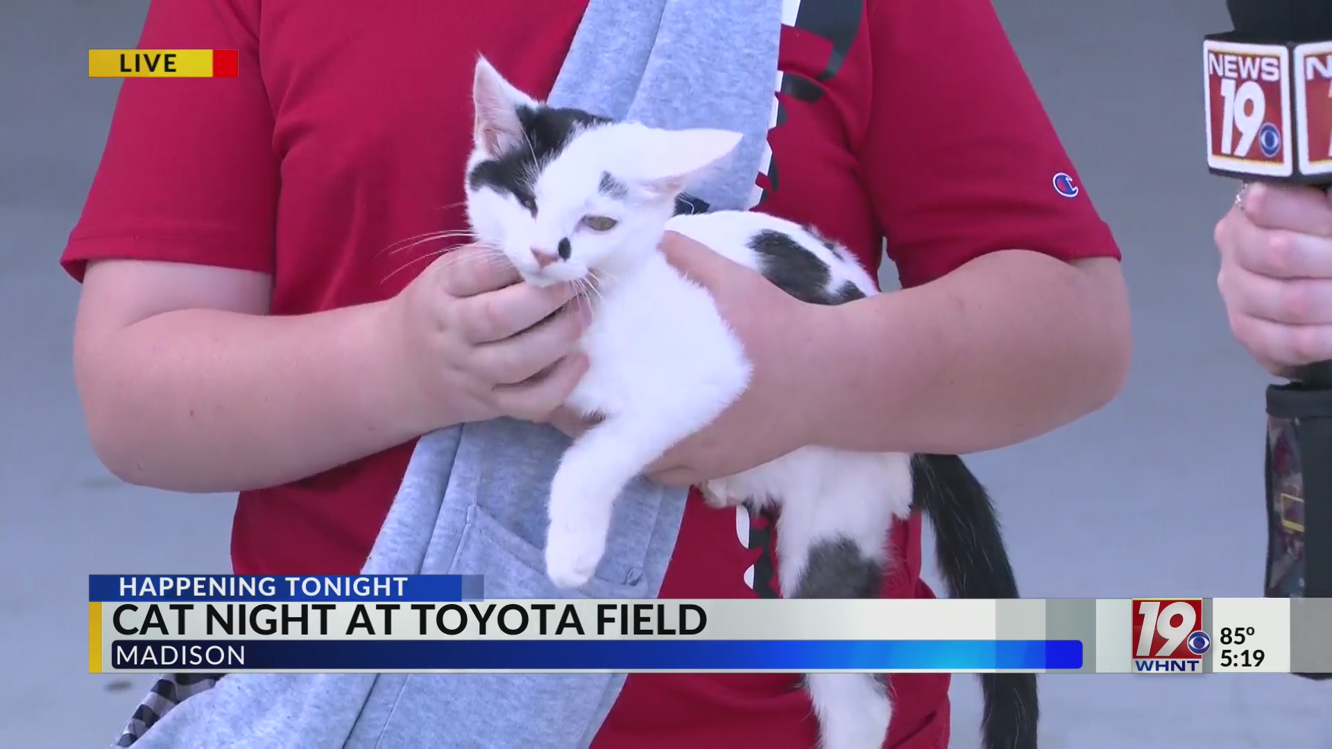 Meteorologist Jessica Camuto Introduces Us to Feline Friend at Trash ...